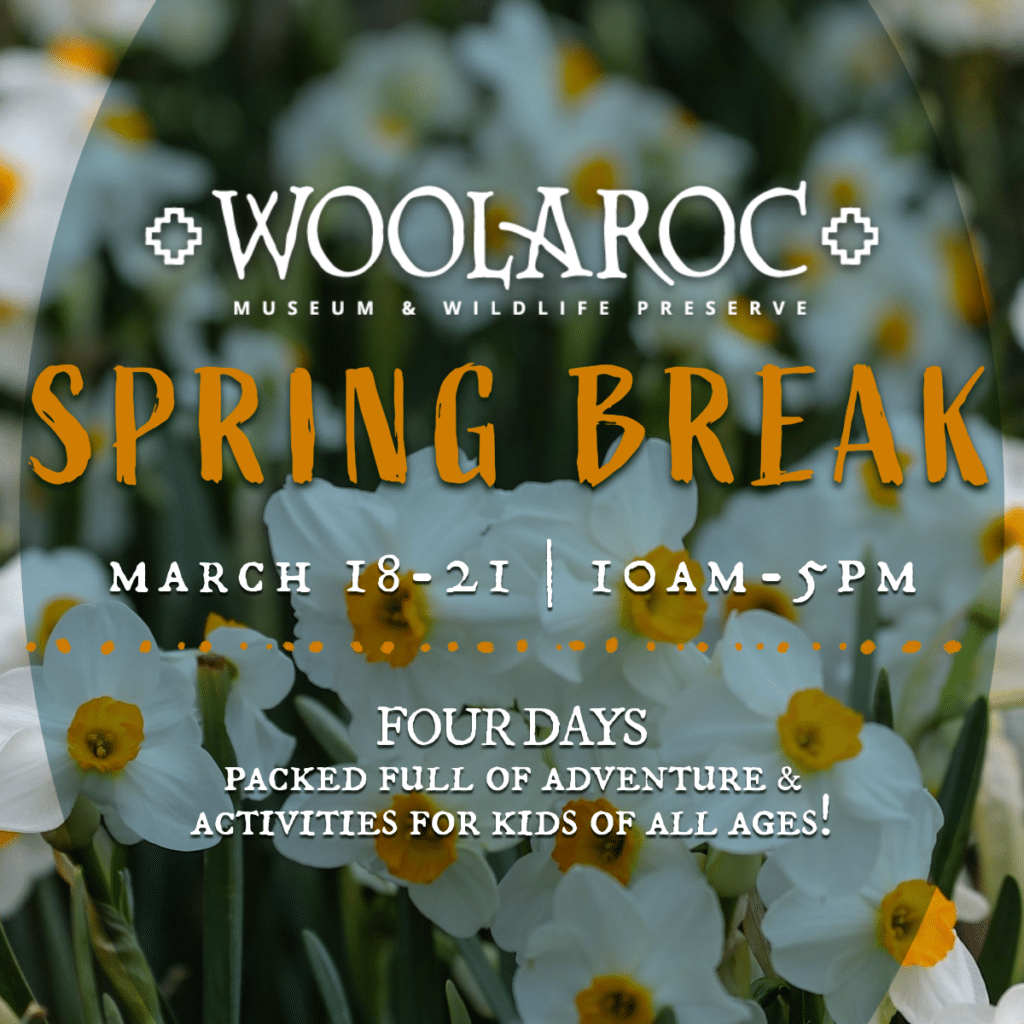 Woolaroc Spring Break - Woolaroc